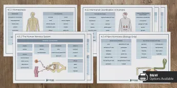 Homeostasis and Responses | twinkl.co.uk