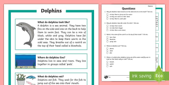Printable Literacy Worksheets – Reading Comprehension – KS1