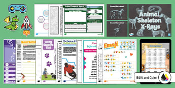3rd Grade Worksheets | Printable Resources | Twinkl USA