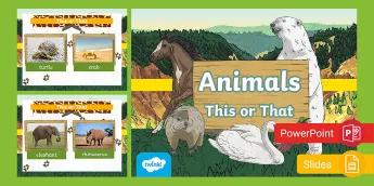 Animals PowerPoint Presentations | twinkl.com