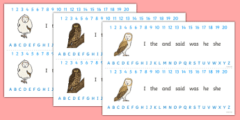 Owl Themed Resources | twinkl.co.uk