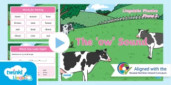 'ow' Sound Phonics Worksheets | twinkl.co.uk
