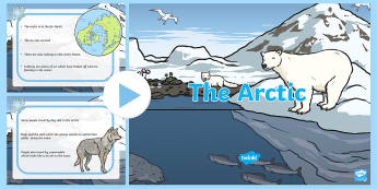 The Arctic and Antarctica - Primary Resources - Twinkl