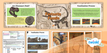 Rocks - Year 3 Science Resources - Twinkl