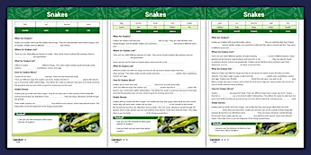 Reading Snakes | twinkl.com.au