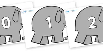 Elephant Images | twinkl.co.uk