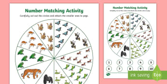 Jungle & Rainforest Maths Primary Resources, Numeracy