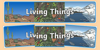 The Needs of Living Things Resources and Activities - Twinkl