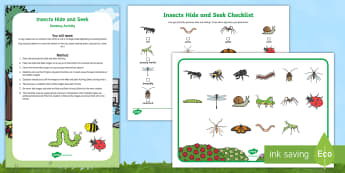 Insects and Bugs | Animals | Topics | EYLF | Australia