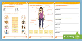 Level 1 ESL Curriculum for Beginners - Resources - for Teachers | English