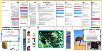 Planning - Patterns - EYFS - Twinkl Teaching Resources