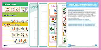 Animals, Including Humans Year 1 - Science Resources