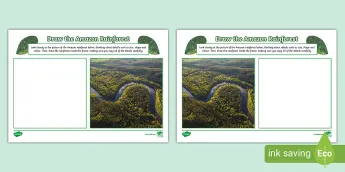 Amazon Rainforest Resources | twinkl.co.uk