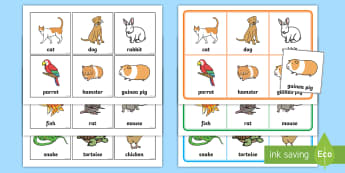 Pets Early Years (EYFS), pet, animal, living things, cat, dog