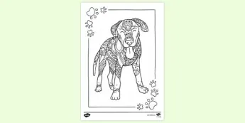 Mindfulness Colouring Activities | twinkl.co.uk
