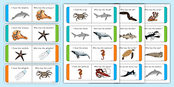 Sea Creatures Activities | twinkl.co.uk
