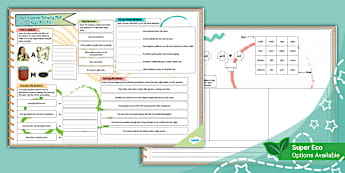Punctuation Ages 9 - 10 (Year 5) Activities and Worksheets