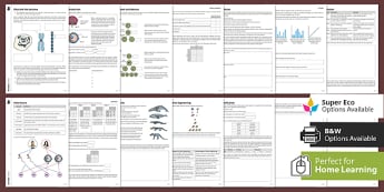 Beyond | AQA Biology | KS4 Inheritance Variation and Evolution