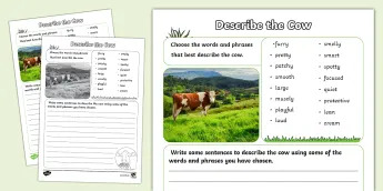 Cows Worksheets | twinkl.com.au