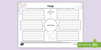 Fungi Science Activities | twinkl.co.uk