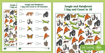 Rainforest and Jungle Animal Activities for Early Years EYFS