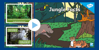 Rainforest and Jungle Animal Activities for Early Years EYFS