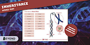 Inheritance and Evolution Extra Resource | KS3 Biology