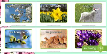 Spring Activity Sets | twinkl.co.uk