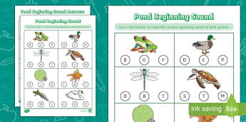 Phonics & Word Recognition Worksheets | Prekindergarten | Twinkl