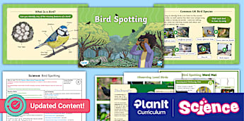 Biodiversity - Birds Year Three - 3 - Science Lesson Plans for Primary ...