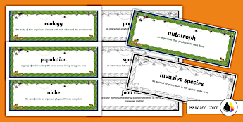 6th Grade Science Vocabularies | twinkl.com