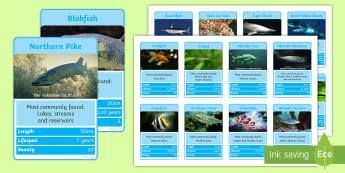 Super Top Trumps Cards - KS1 - Personalised Top Trumps