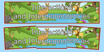 Ecosystems and Interdependence | KS3 Biology | Beyond