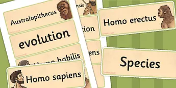 Vocabulary Word Cards | twinkl.co.uk