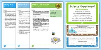 Minibeast Science Activities | twinkl.co.uk