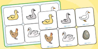 The Ugly Duckling Resources | EYFS | KS1 | Teacher Resources
