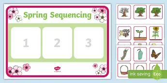 Easter Sequencing Cards | twinkl.com.au