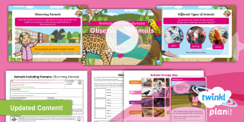 Animals, Including Humans Year 1 - Science Resources