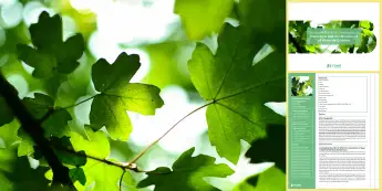 Osmosis Resources | twinkl.co.uk