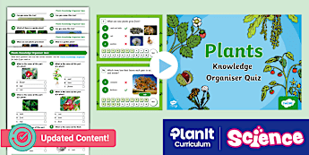 Plants Quizzes | twinkl.com.au