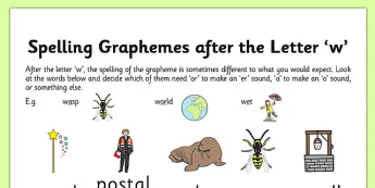 Letter W Phonics Lessons | twinkl.co.uk