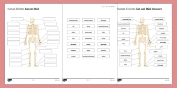 KS3 Science Resources | Secondary Science | Beyond - Twinkl