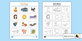CVC Words Worksheets & Printables | Grade 2 | Twinkl