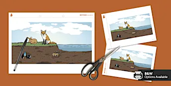 Carbon Cycle Resources | twinkl.com.au