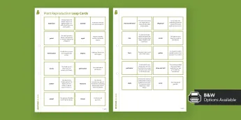 Plant Reproduction Resources | twinkl.co.uk