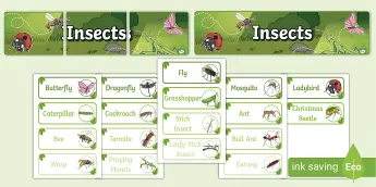 Biology Word Wall • Twinkl.com.au