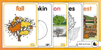 Vocabulary Posters | twinkl.com