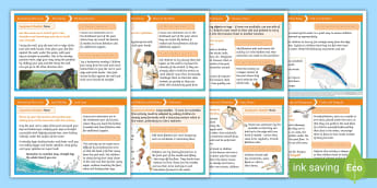 Swimming Activities | Twinkl Swim | Swimming Curriculum