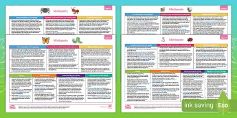 Minibeast Science Activities | twinkl.co.uk