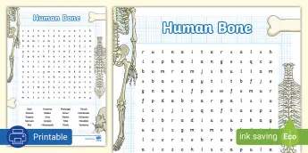Anatomy Word Searches | twinkl.ca